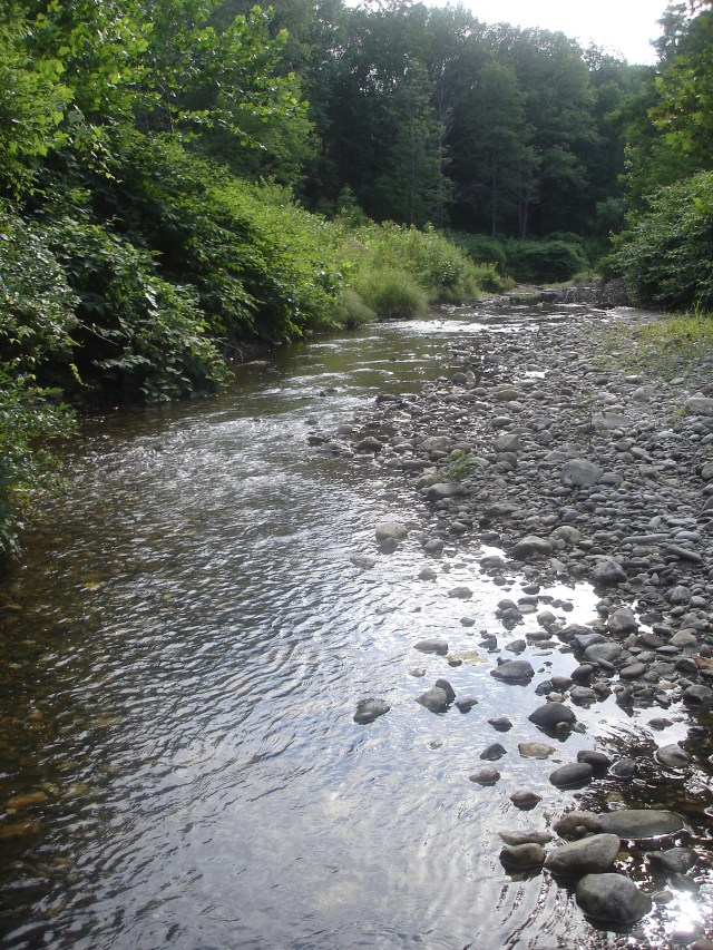River Wading | Eliza Waters