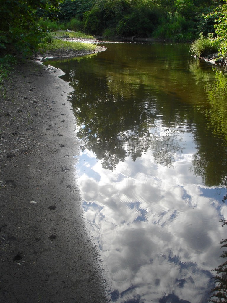 River Wading | Eliza Waters