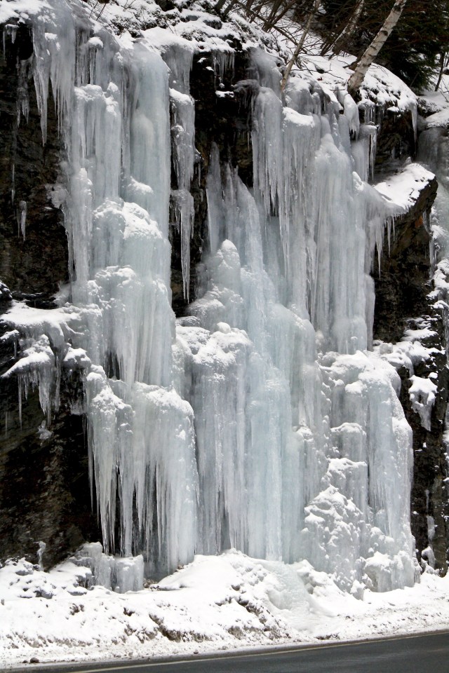 Nice Ice! | Eliza Waters