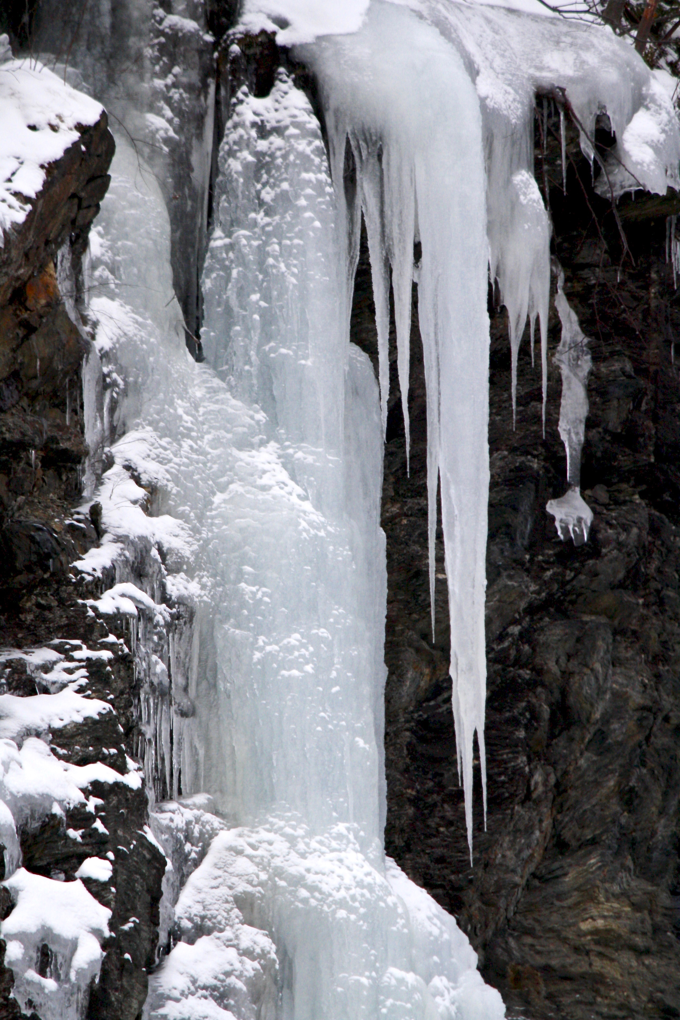 Nice Ice! | Eliza Waters