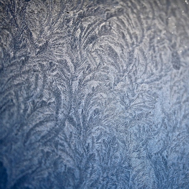 Wordless Wednesday – Frost Patterns | Eliza Waters