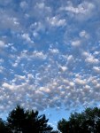 Wordless Wednesday – Curious Cloudscape | Eliza Waters